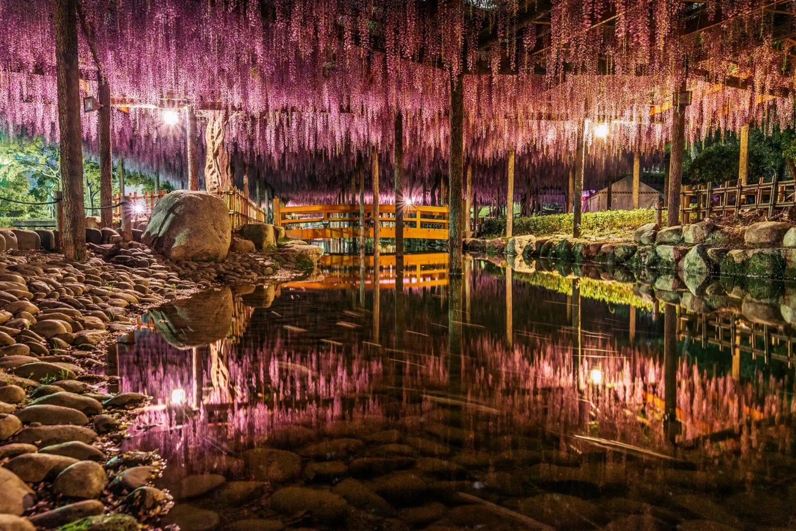International garden photographer of the year – in pictures | Read to lead