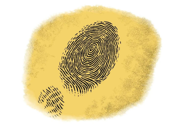 [Mp4] How reliable is fingerprint evidence? | Read to lead